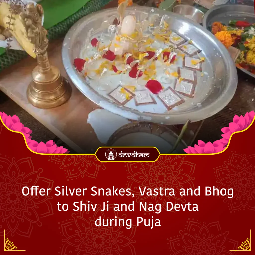Panchami Special: Kaal Sarp Dosha Nivaran Puja and Rudrabhishek To ...