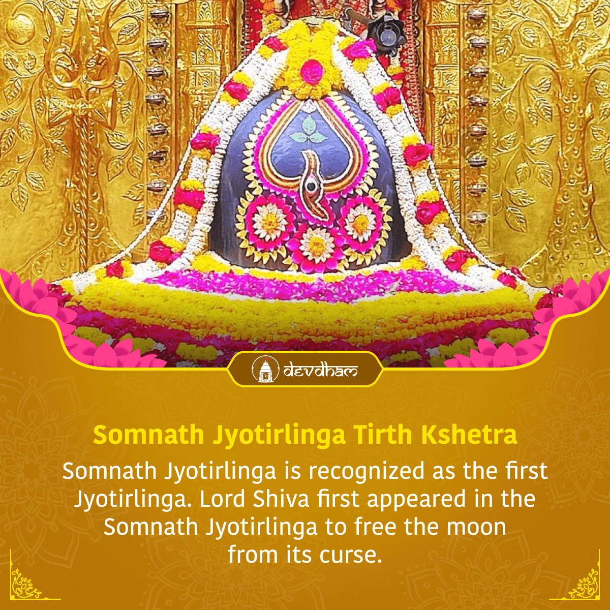 Mahashivratri Rudrabhishek Puja | DevDham | Download DevDham App