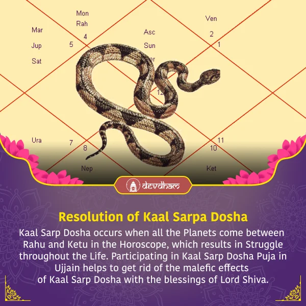 Nag Panchami Special: Kaal Sarpa Dosh Nivaran Puja and Rudrabhishek ...