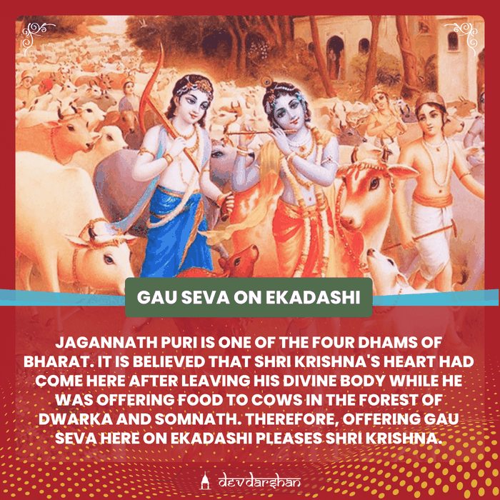 Brahman Bhojan, Gau Seva and Deep Daan on Ekadashi